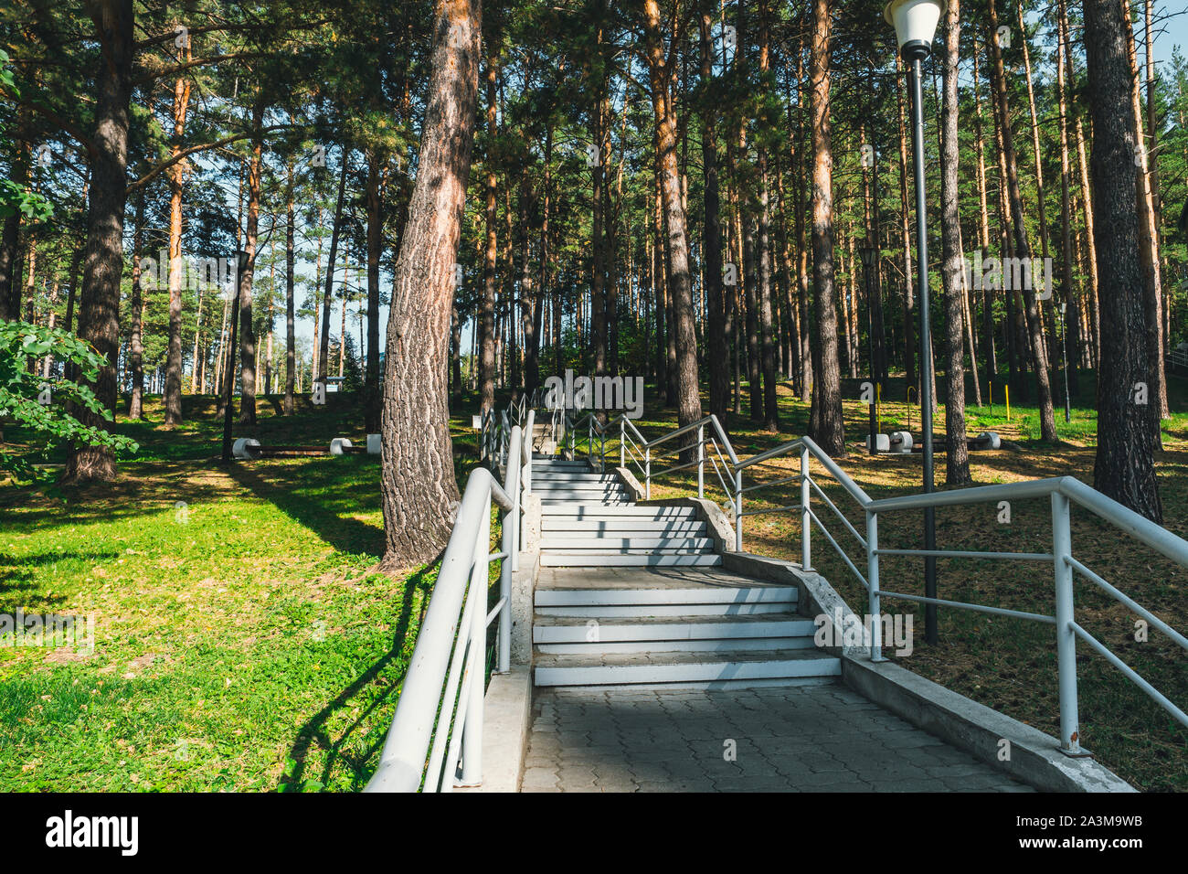 view, looking up for the top of a long ladder located in a forest. Part ...
