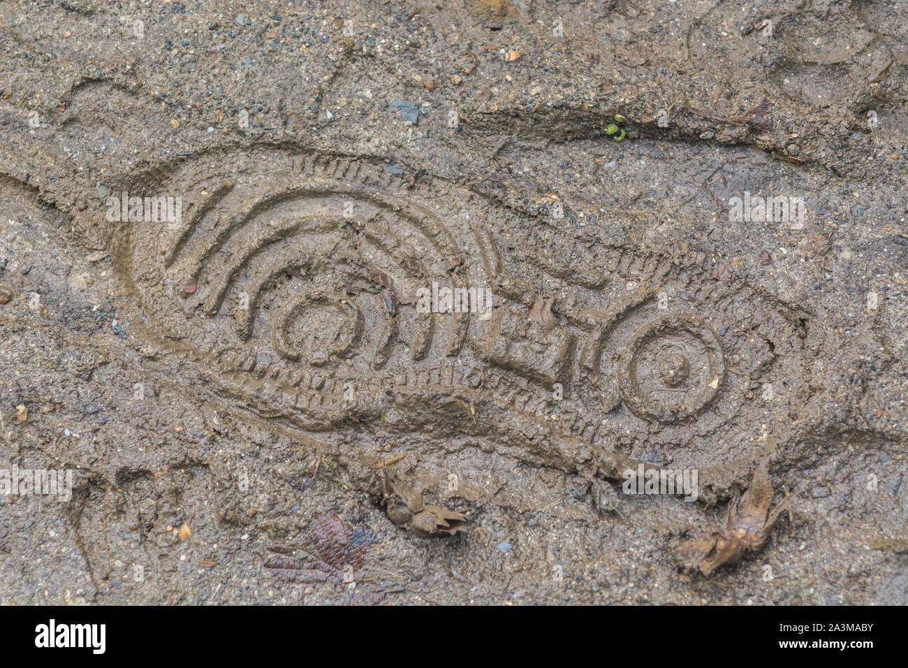 Single boot print / footprint in a muddy rural / country track ...