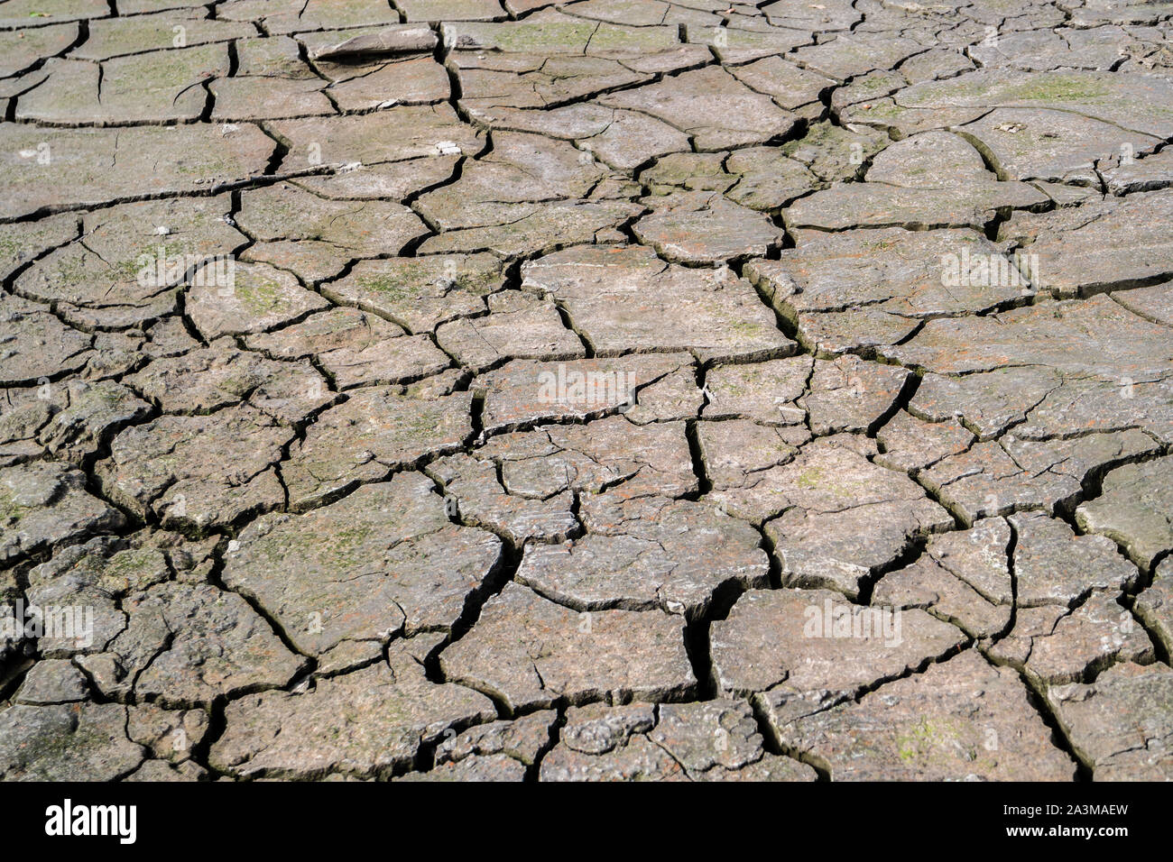 Dry Ground cracks texture Stock Photo - Alamy