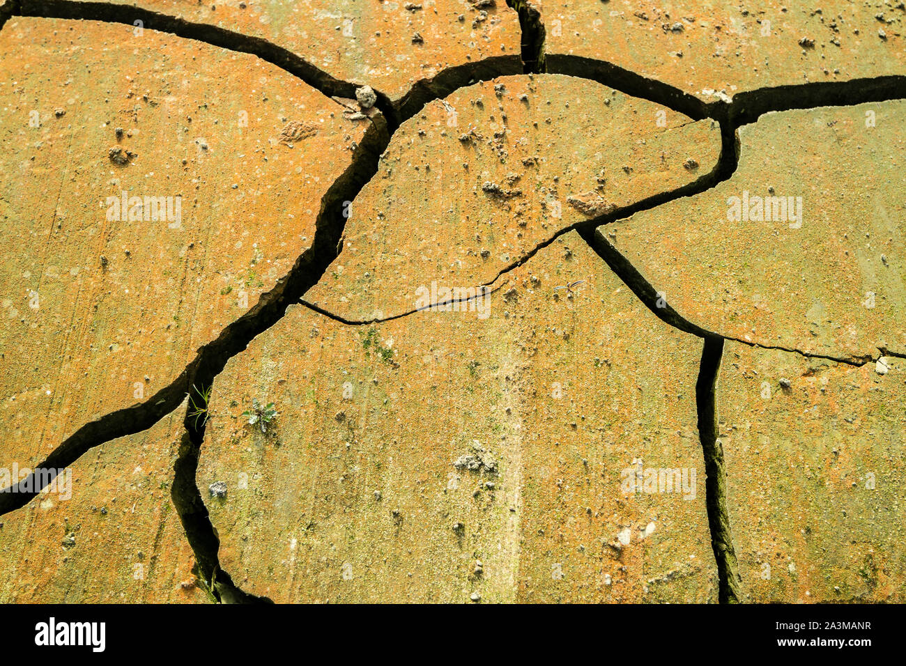 Dry Ground cracks Stock Photo - Alamy