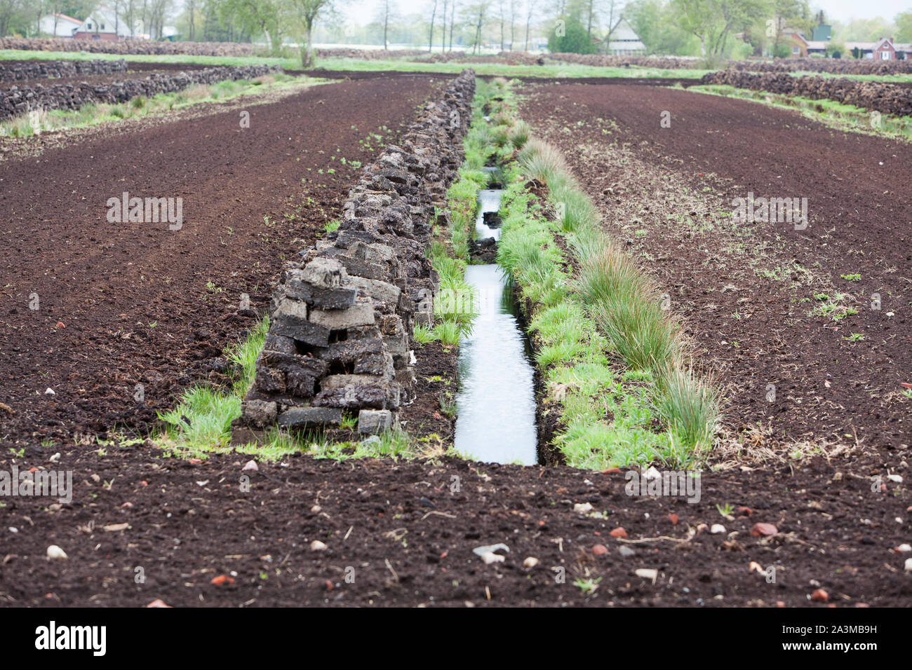 Bog bogland peatland muskeg peat hi-res stock photography and images ...