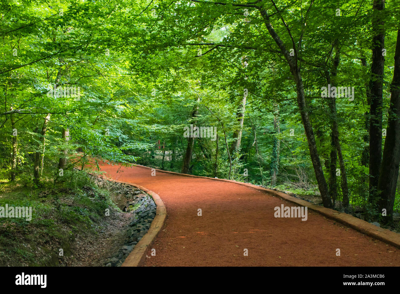 Park hill road runner running hi-res stock photography and images - Alamy