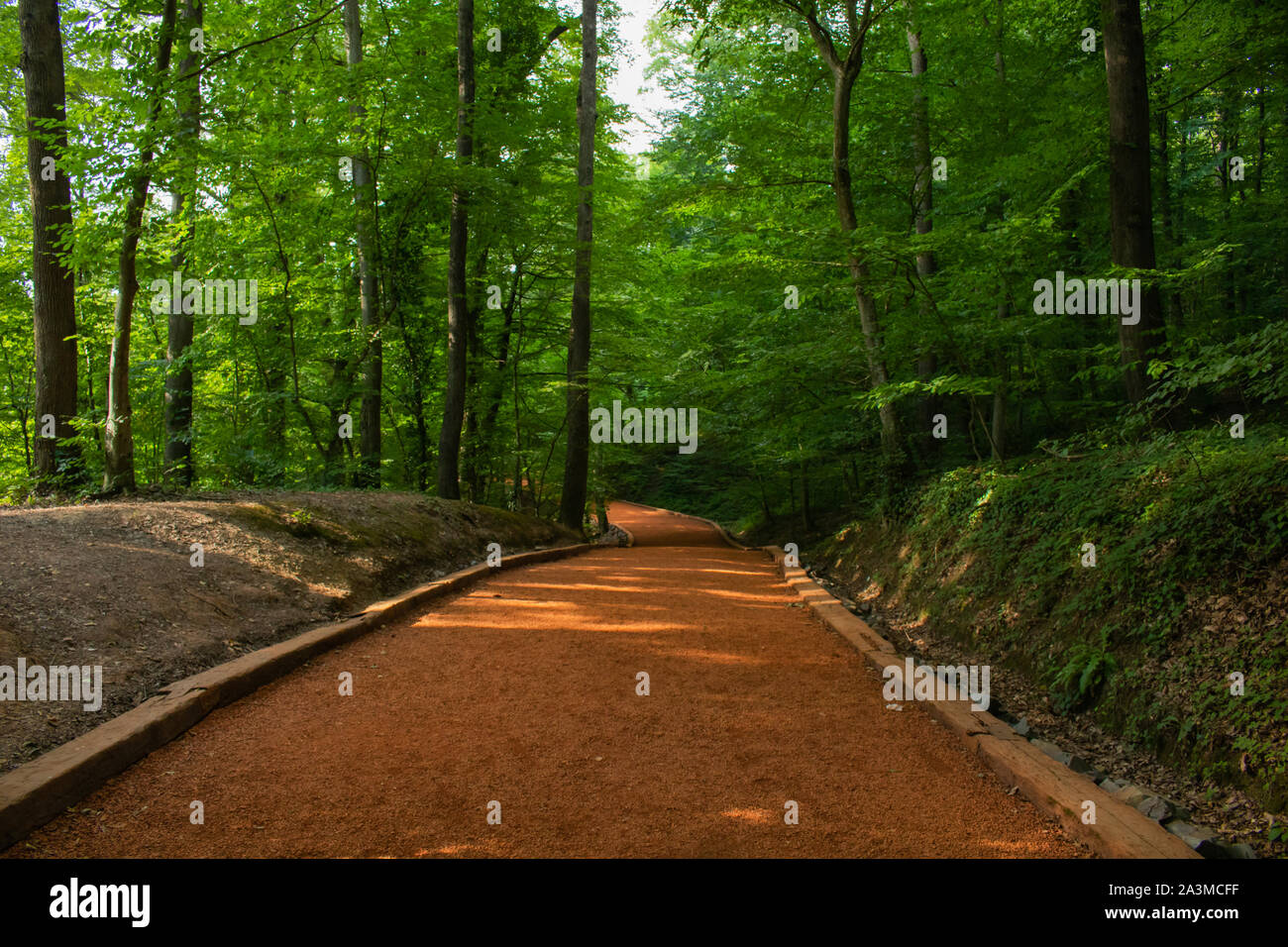 Park hill road runner running hi-res stock photography and images - Alamy