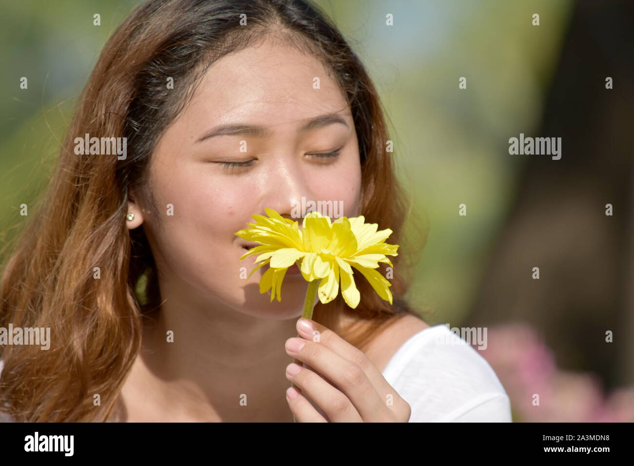 Young Woman Smelling Flower Stock Photo - Alamy