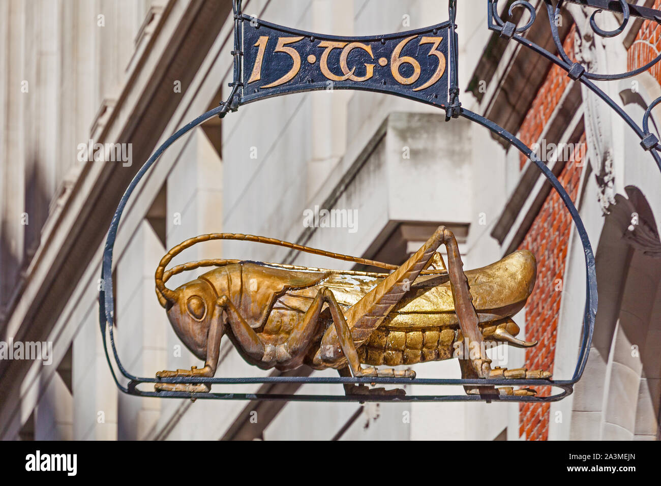 Grasshopper Logo High Resolution Stock Photography and Images - Alamy
