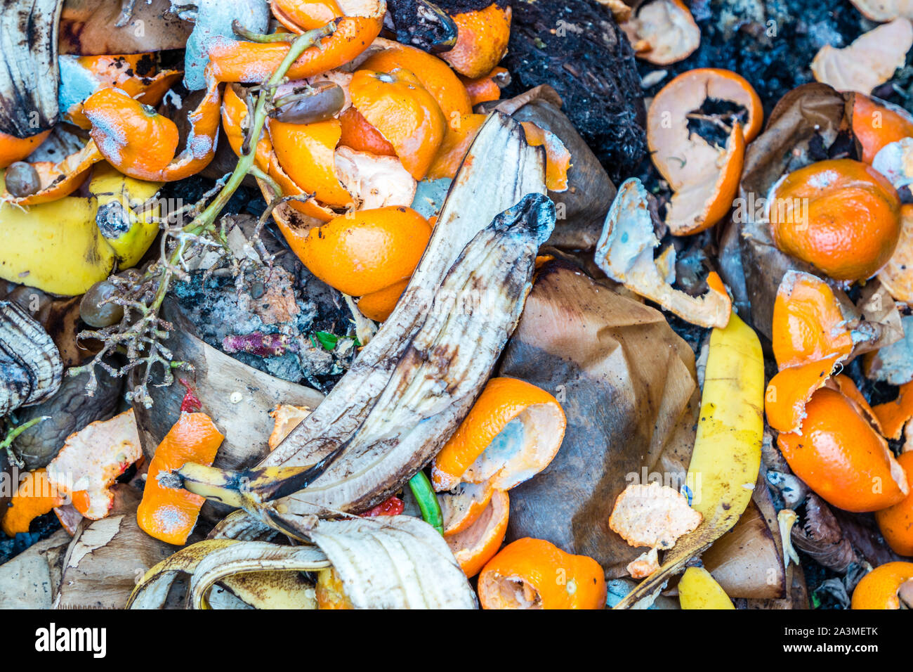 Orange compost bin hi-res stock photography and images - Alamy