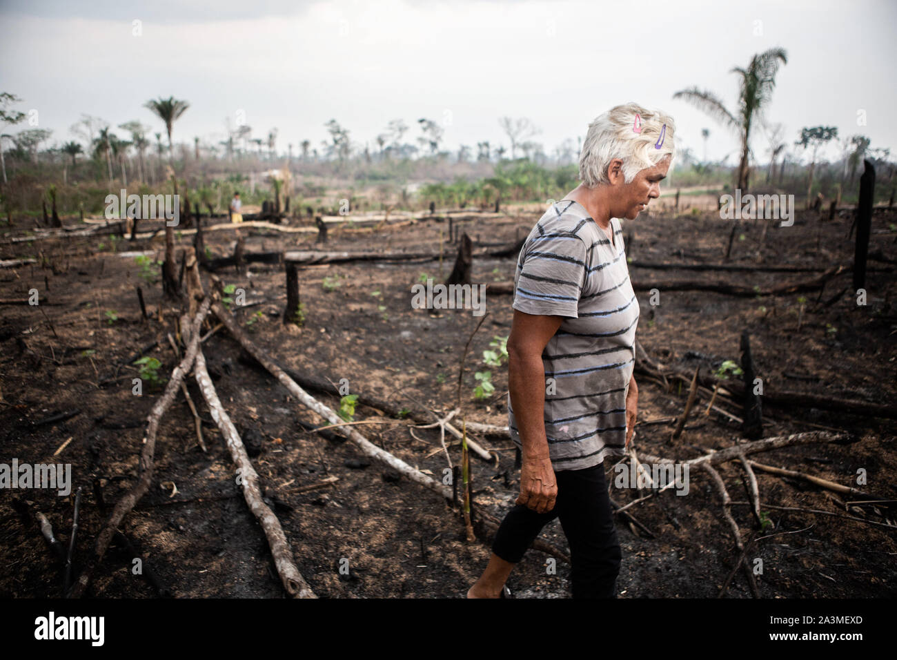 Destroyed land hi-res stock photography and images - Alamy