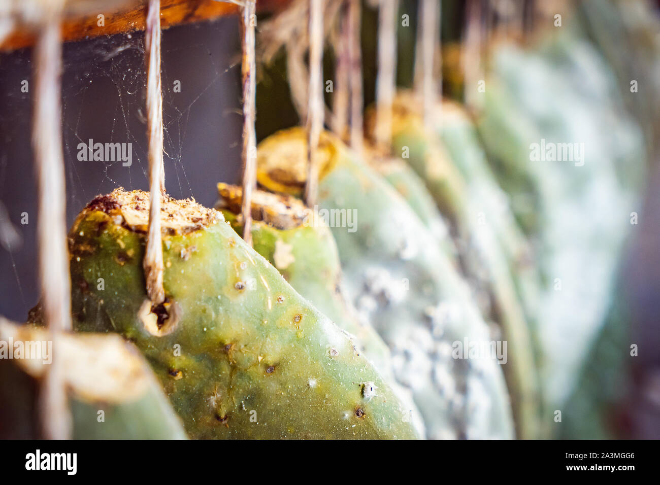 Traditional natural dying in Oaxaca, Mexico Stock Photo - Alamy