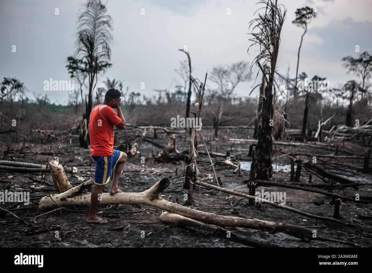 Destroyed land hi-res stock photography and images - Alamy