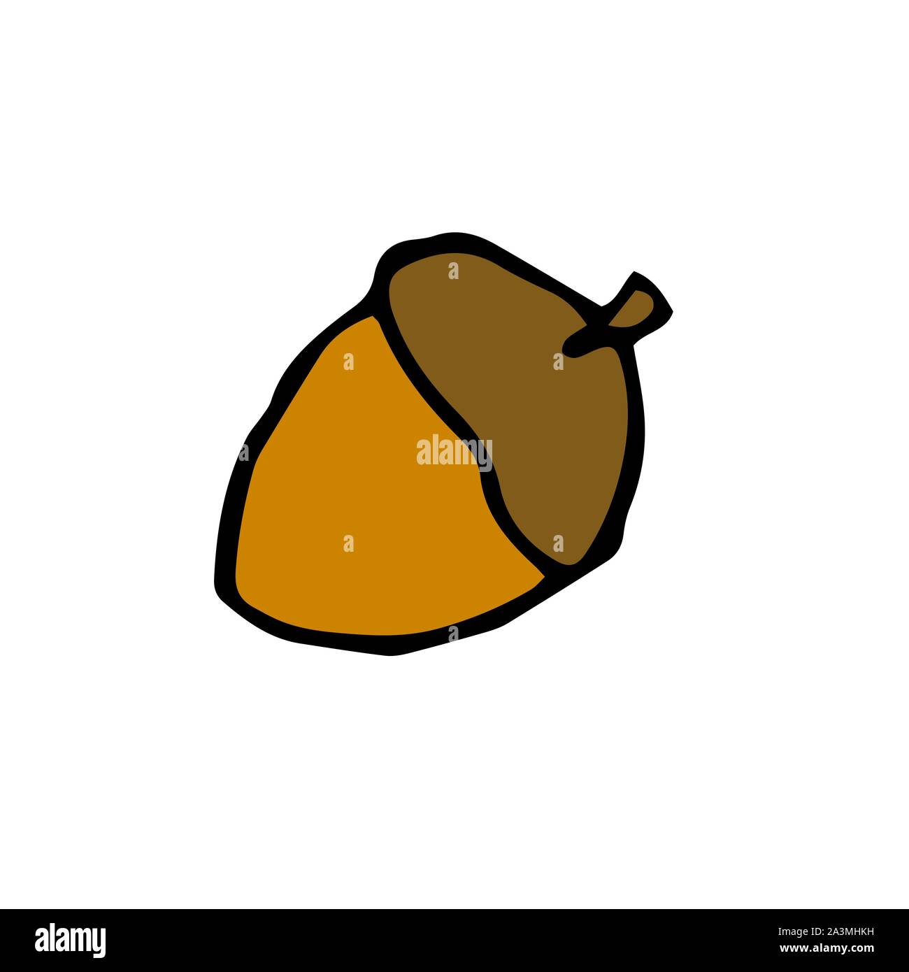 Colorful acorn. Hand drawing sketch. Colorful outline on white ...