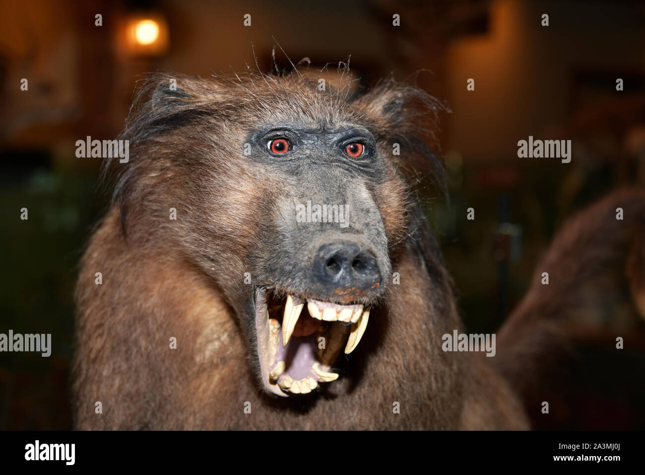 Emzaras buffet hi-res stock photography and images - Alamy