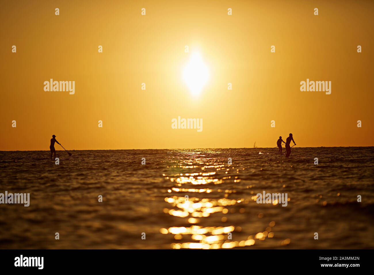 surfing under amazing dark sunset sky with three people Stock Photo - Alamy