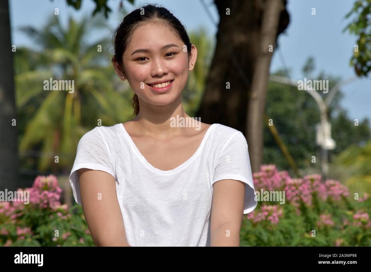Young attractive beautiful asian female hi-res stock photography and ...