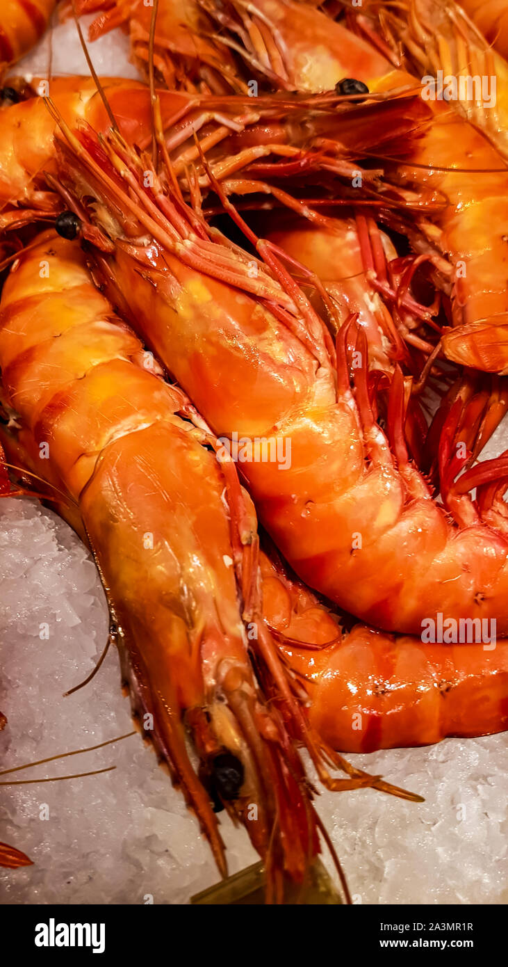 Fresh red prawns at the fish market Stock Photo - Alamy