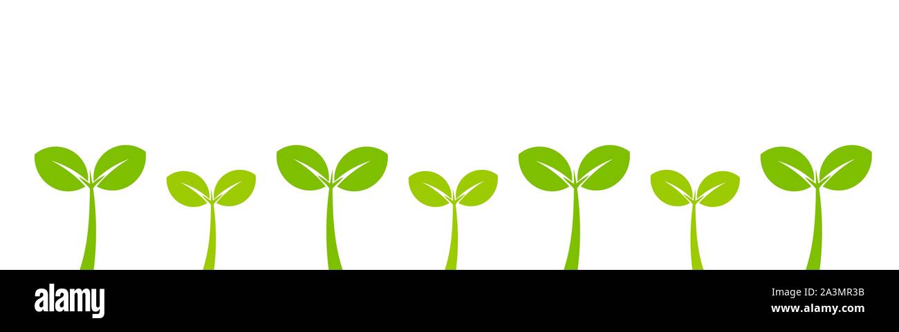 Little green plants seedlings growing. Vector illustration Stock Vector ...