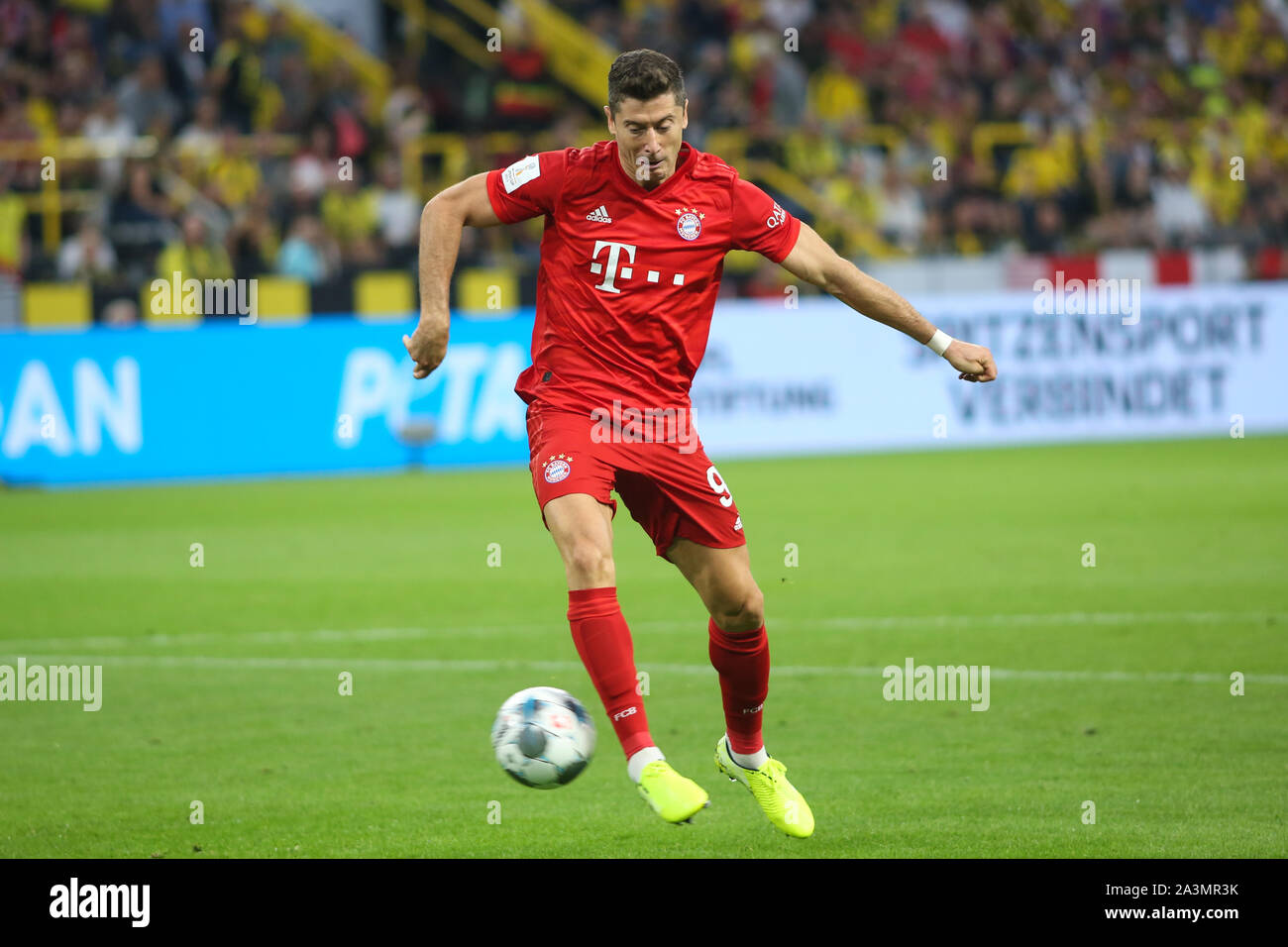 Lewandowski hi-res stock photography and images - Alamy