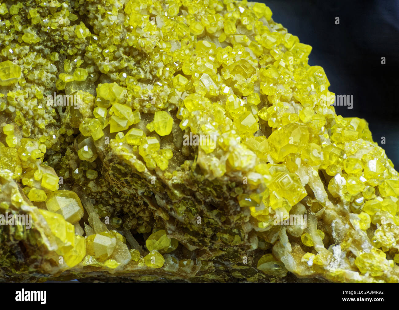 Grade native elements hi-res stock photography and images - Alamy