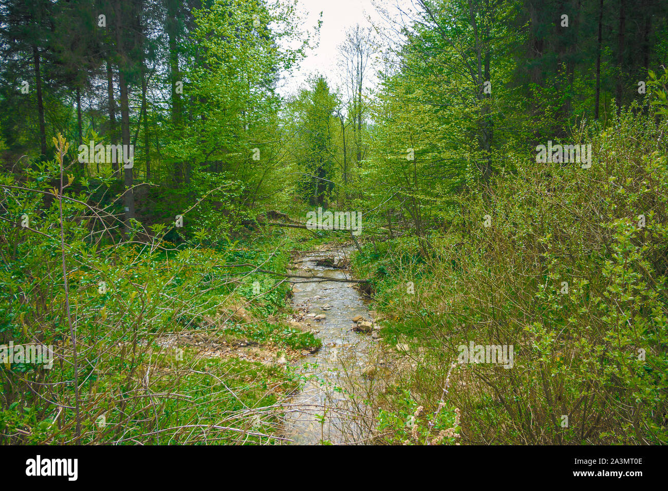 Small brook hi-res stock photography and images - Alamy