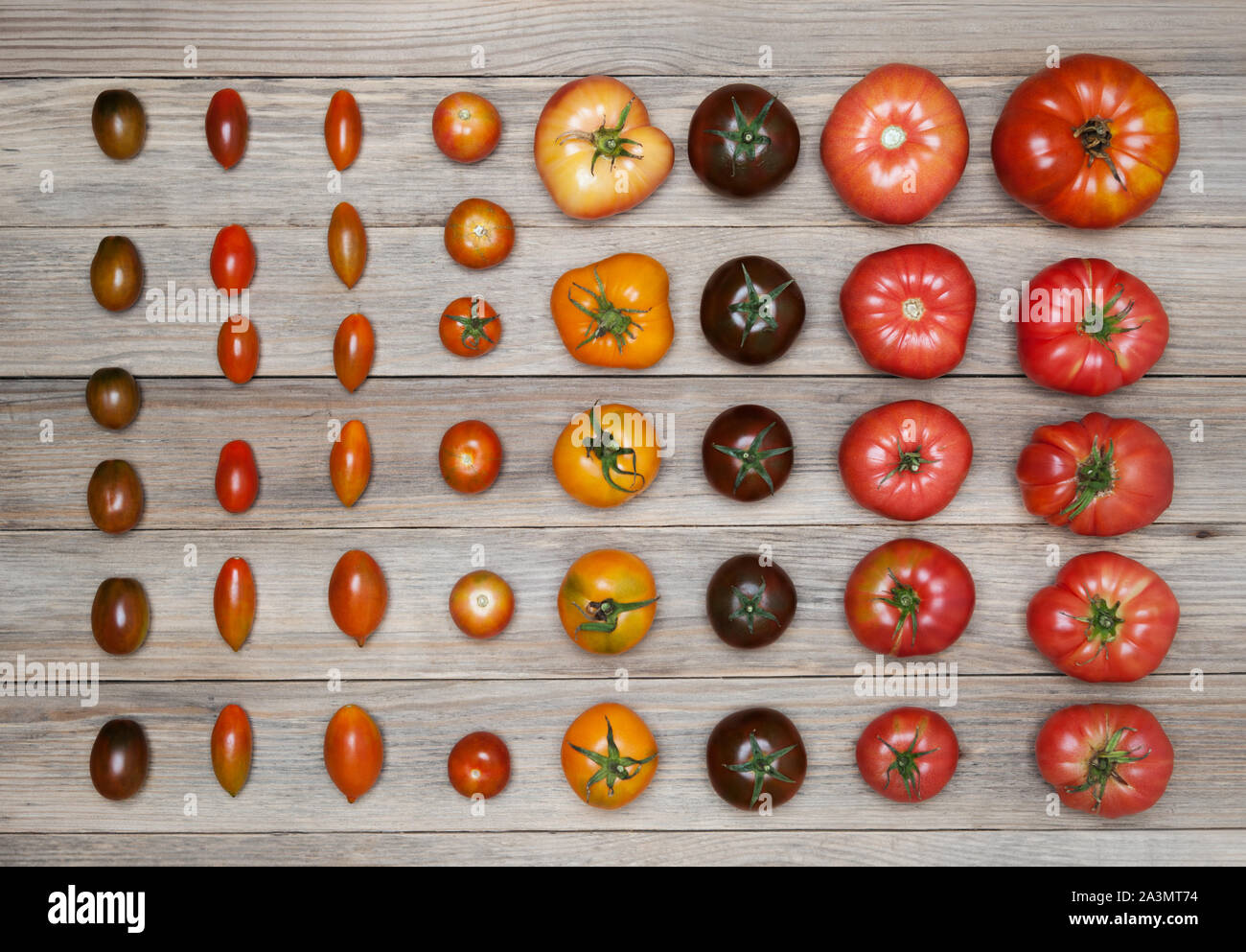 Tomato pattern hi-res stock photography and images - Alamy