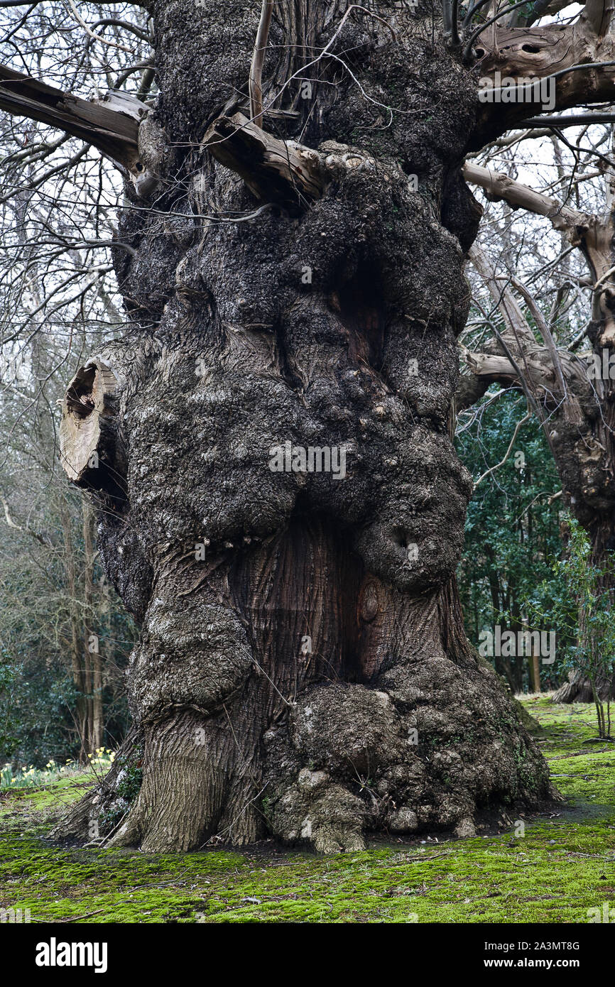 Warley place hi-res stock photography and images - Alamy