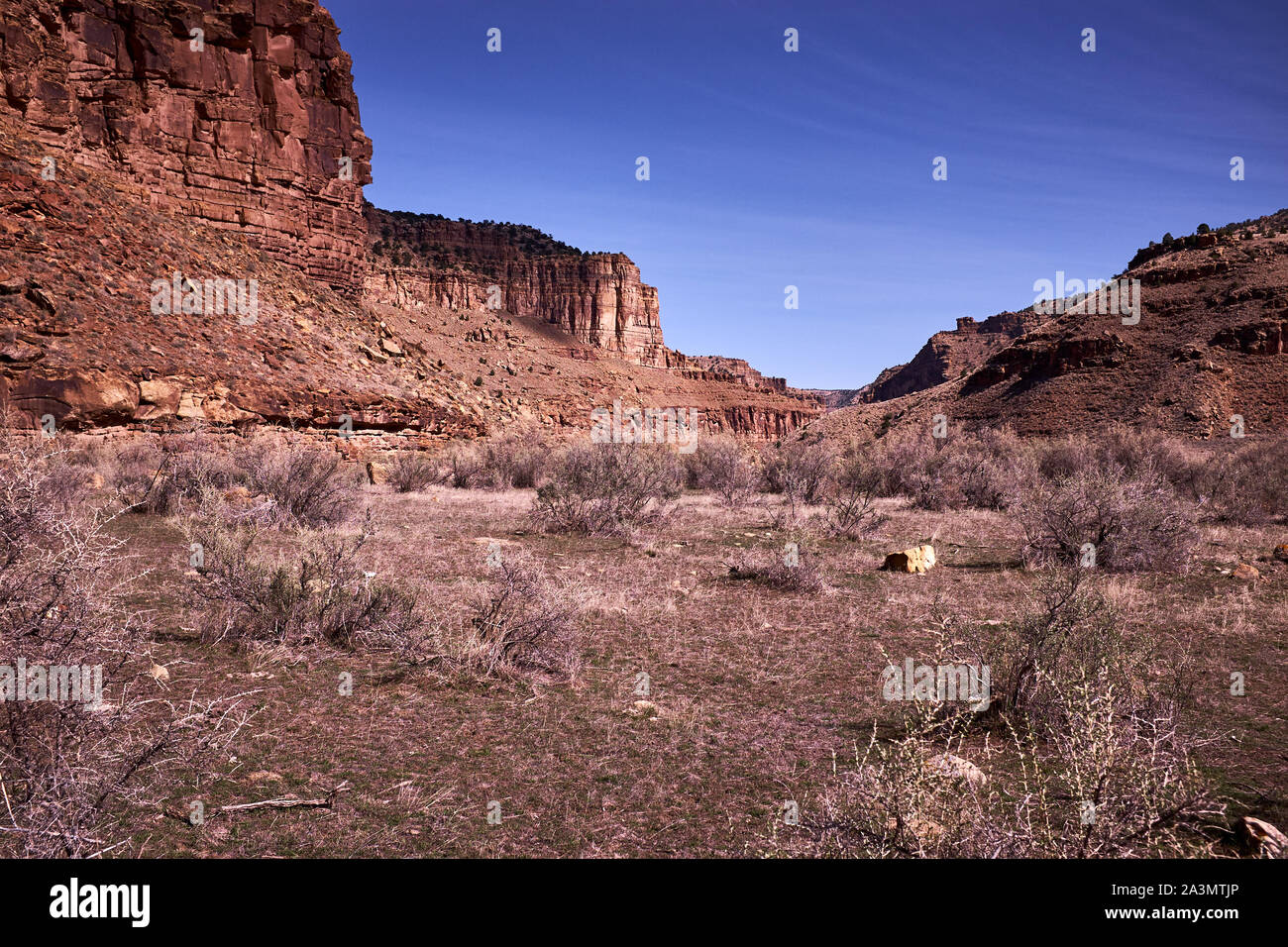Explore the wild west hi-res stock photography and images - Alamy