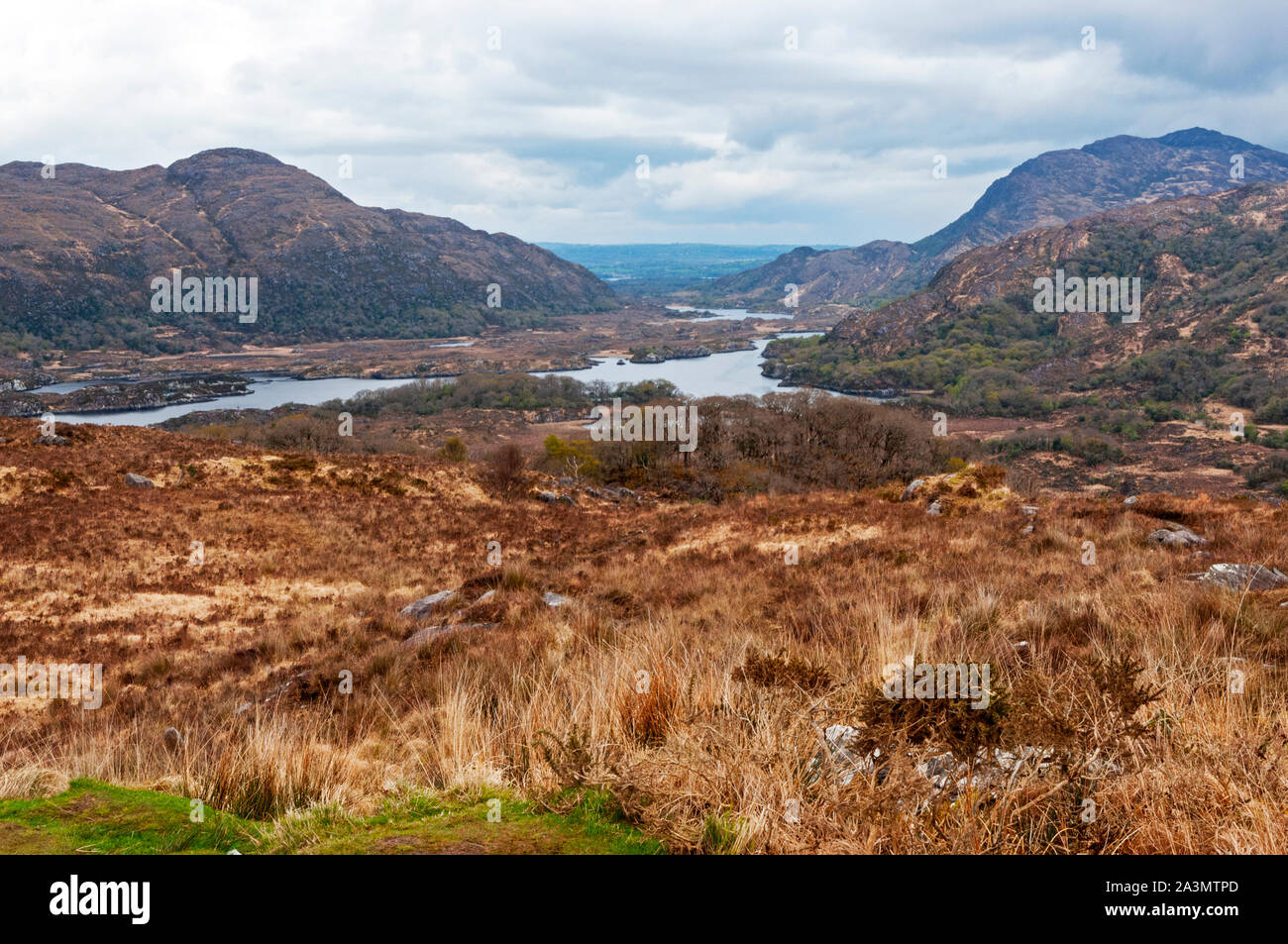 Ladies' View, Killarney National Park, County Kerry, Ireland Stock ...