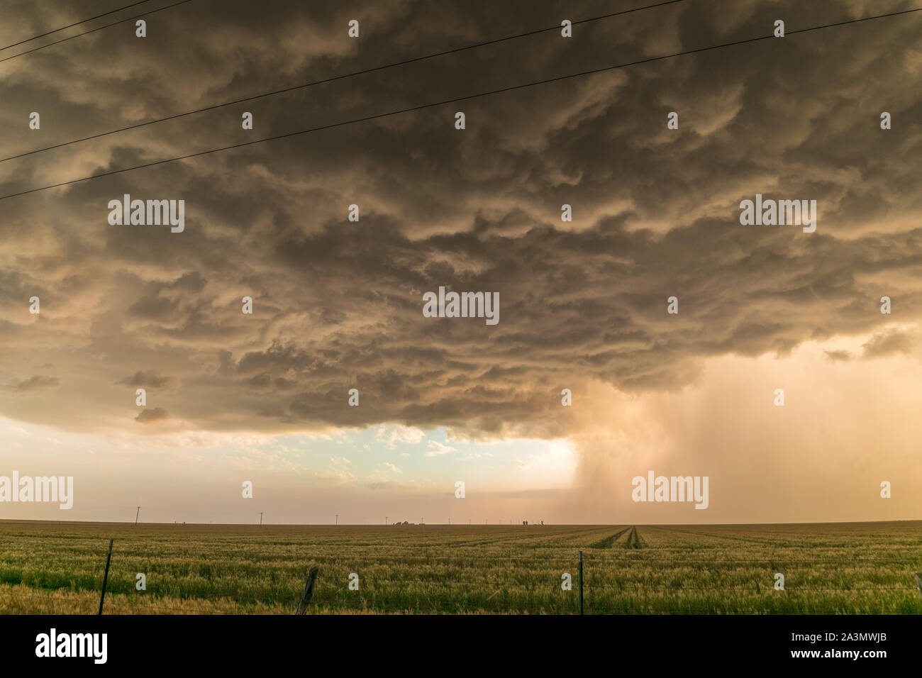 Great plains texas hi-res stock photography and images - Alamy