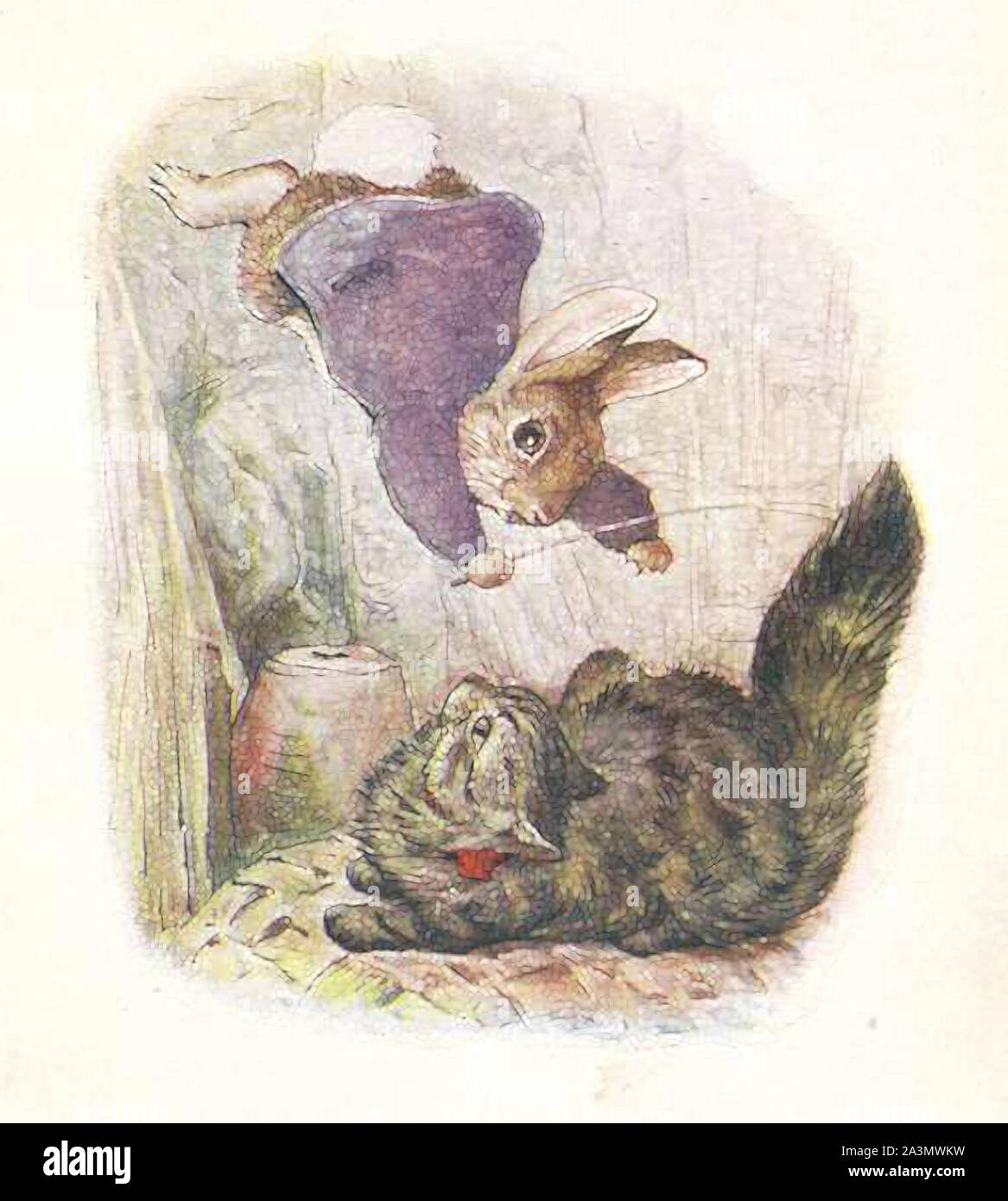 Beatrix Potter Illustration High Resolution Stock Photography and ...