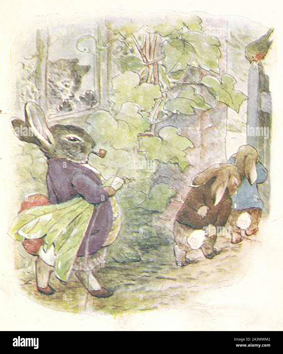 Beatrix Potter Benjamin Bunny High Resolution Stock Photography and ...