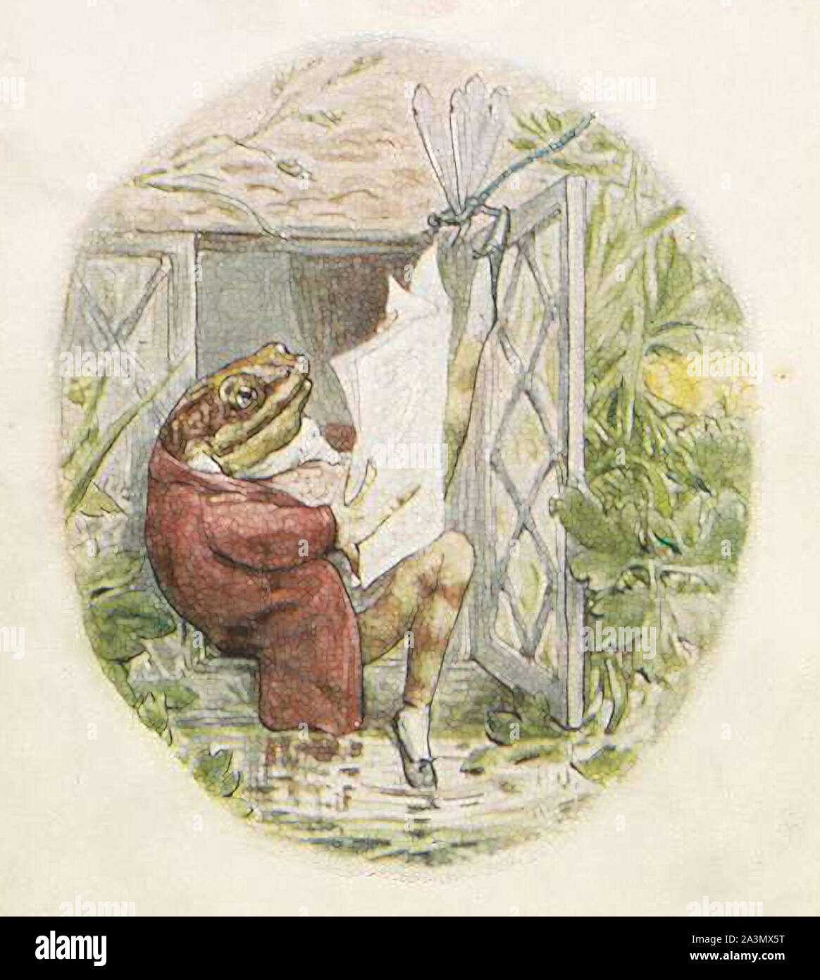 Beatrix Potter Illustration Frog High Resolution Stock Photography and ...