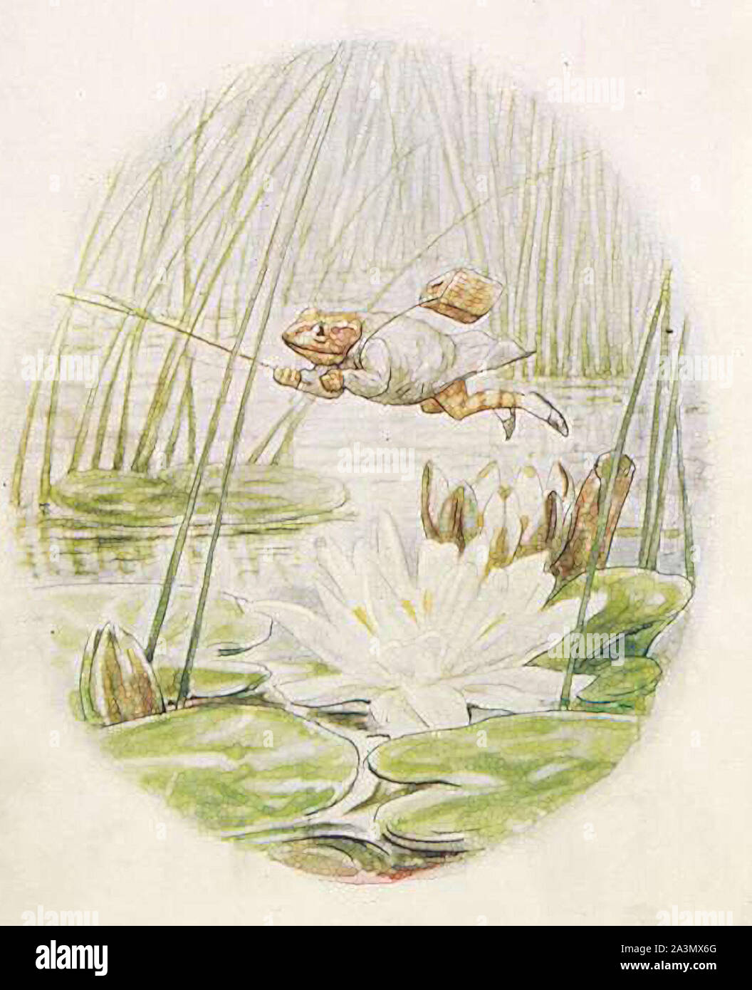 Beatrix Potter Benjamin Bunny High Resolution Stock Photography and ...
