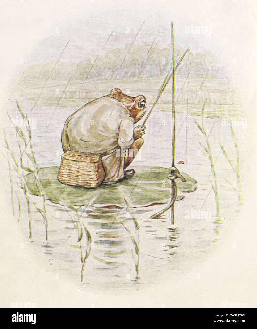 Beatrix Potter Illustration Frog High Resolution Stock Photography and ...