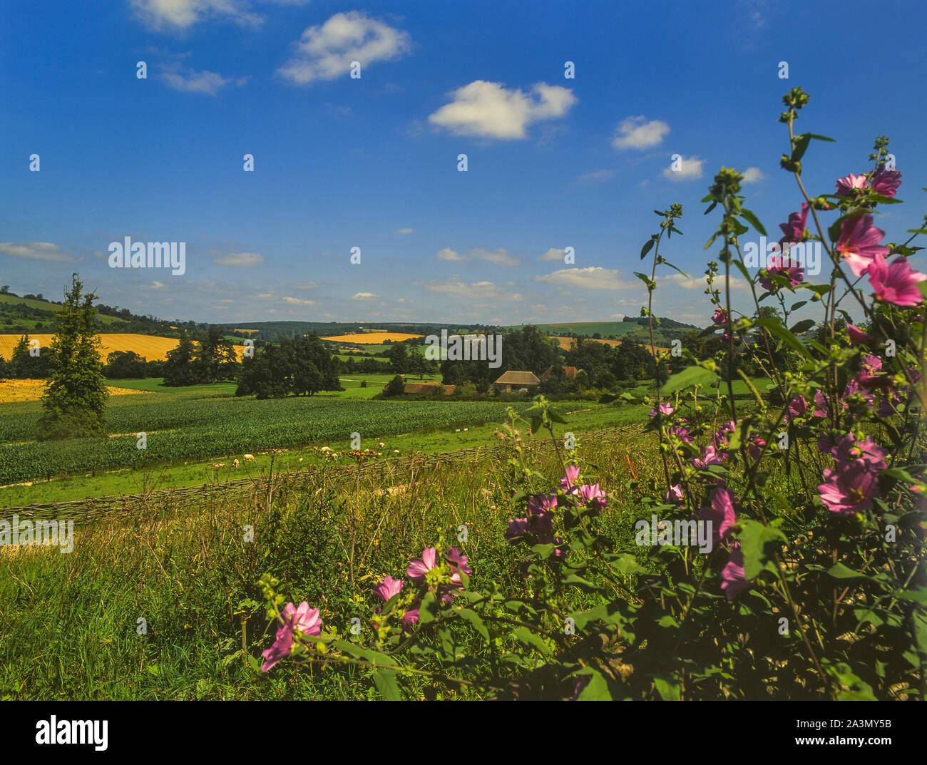 Weald and downland living museum hi-res stock photography and images ...