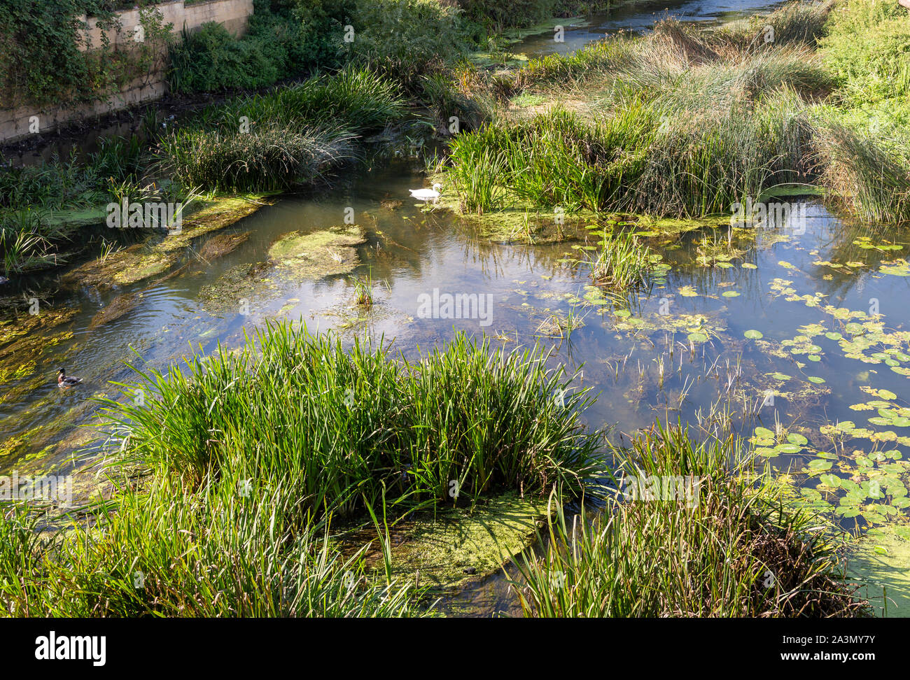Town centre of melksham hi-res stock photography and images - Alamy