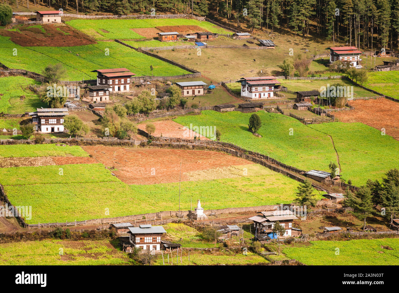 Aerial view of a peaceful village with unique architecture in Bhutan ...
