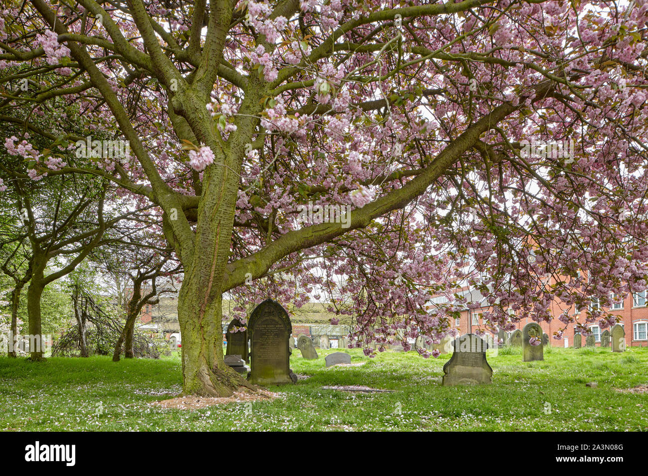 Brookfields hi-res stock photography and images - Alamy