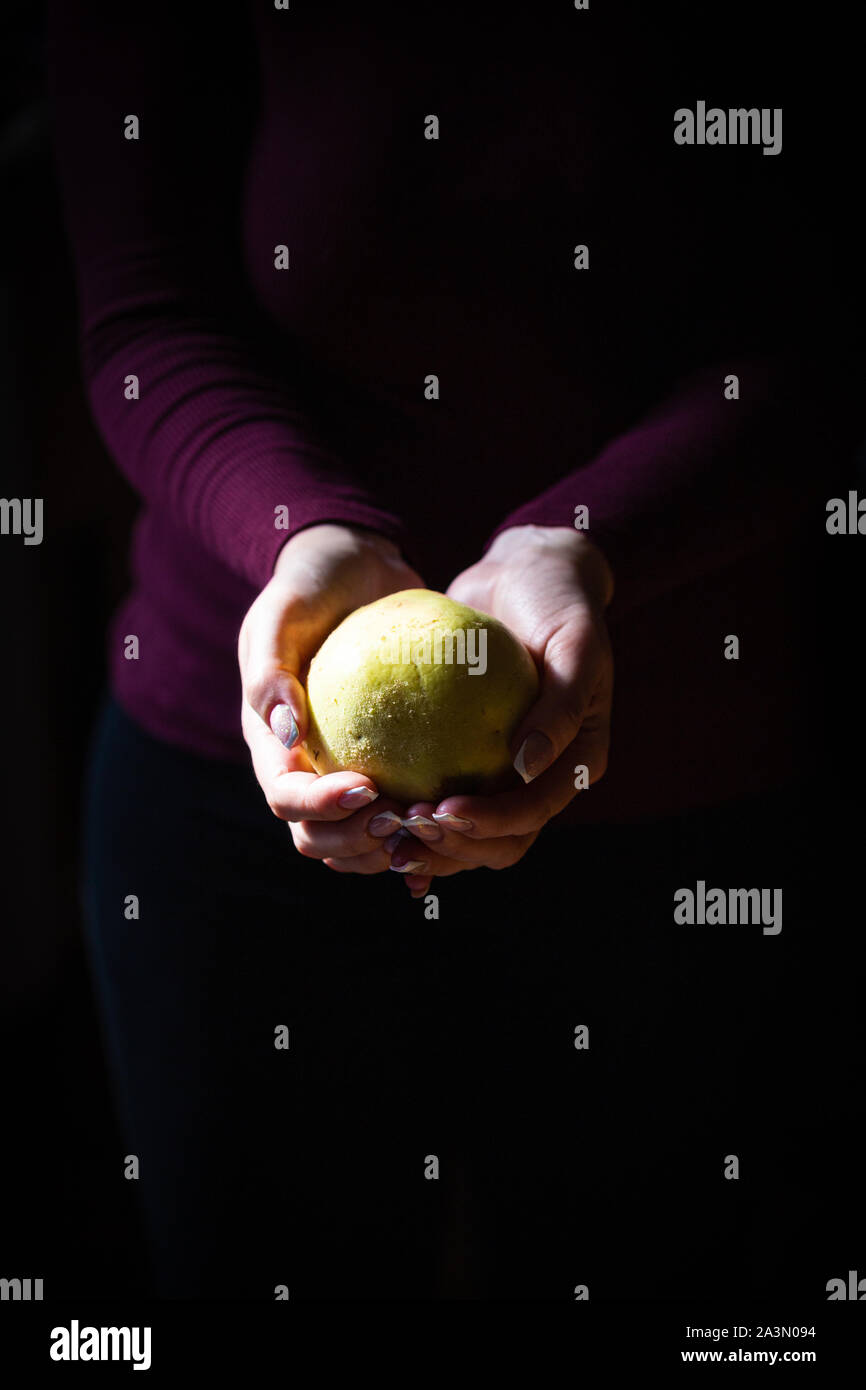 Holding quince hi-res stock photography and images - Alamy