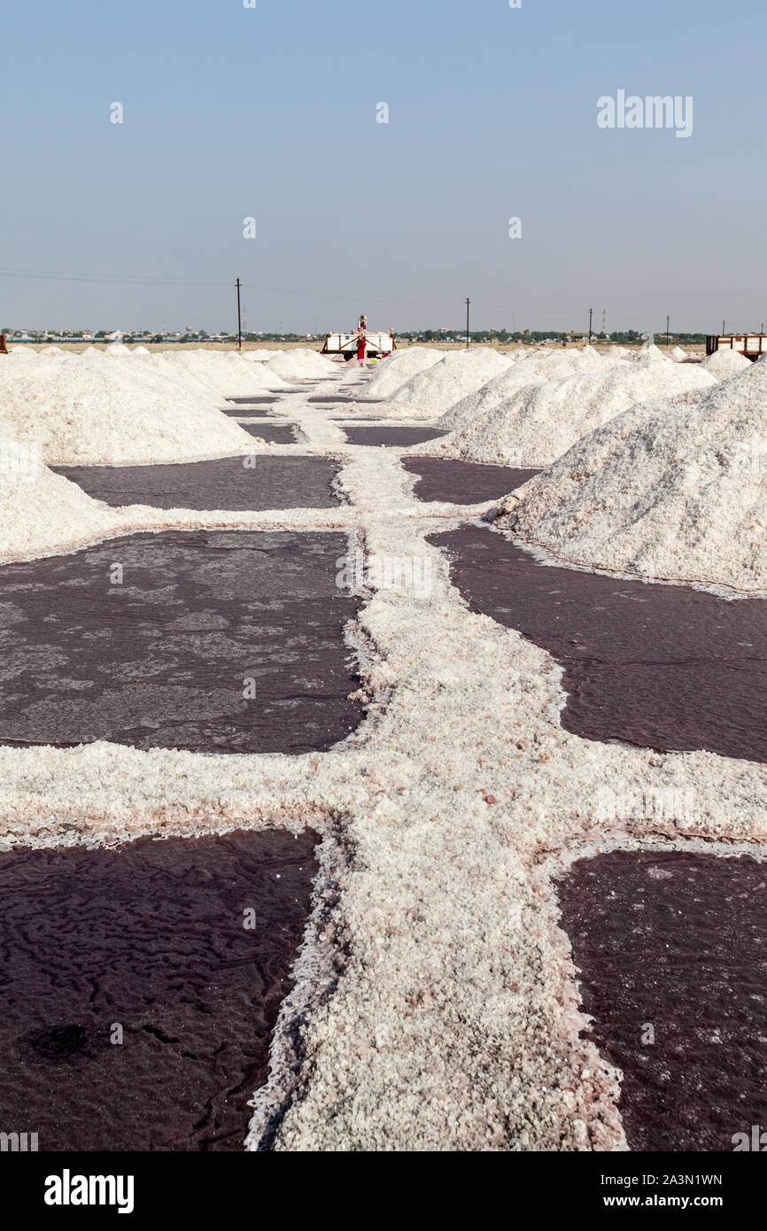 Salt mine at Sambhar Lake, Sambhar, Rajasthan, India Stock Photo - Alamy