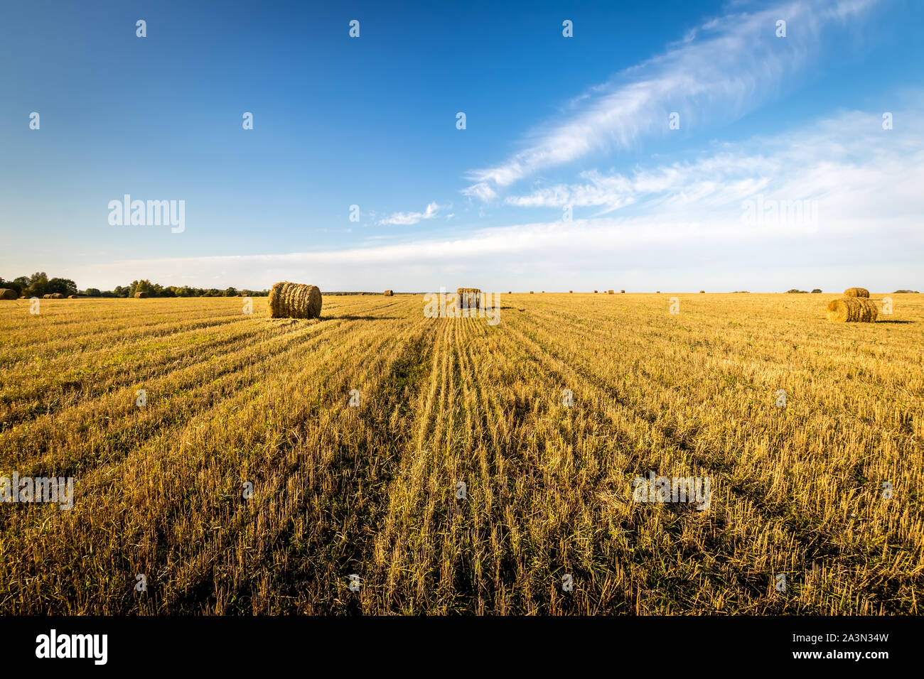Scene with haystacks on the field in autumn sunny day. Rural landscape ...