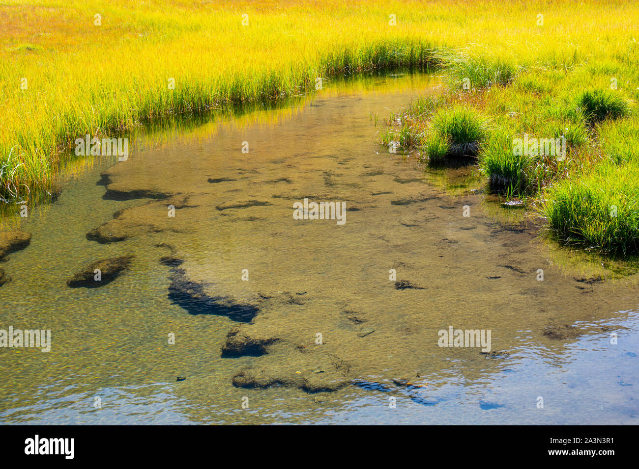 Source of the moor hi-res stock photography and images - Alamy