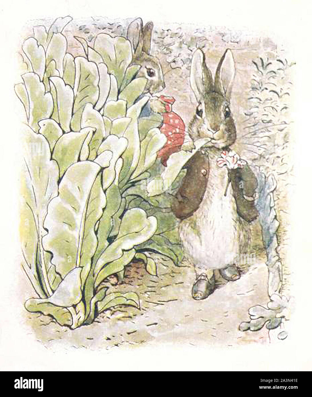 Beatrix Potter Illustration Frog High Resolution Stock Photography and ...