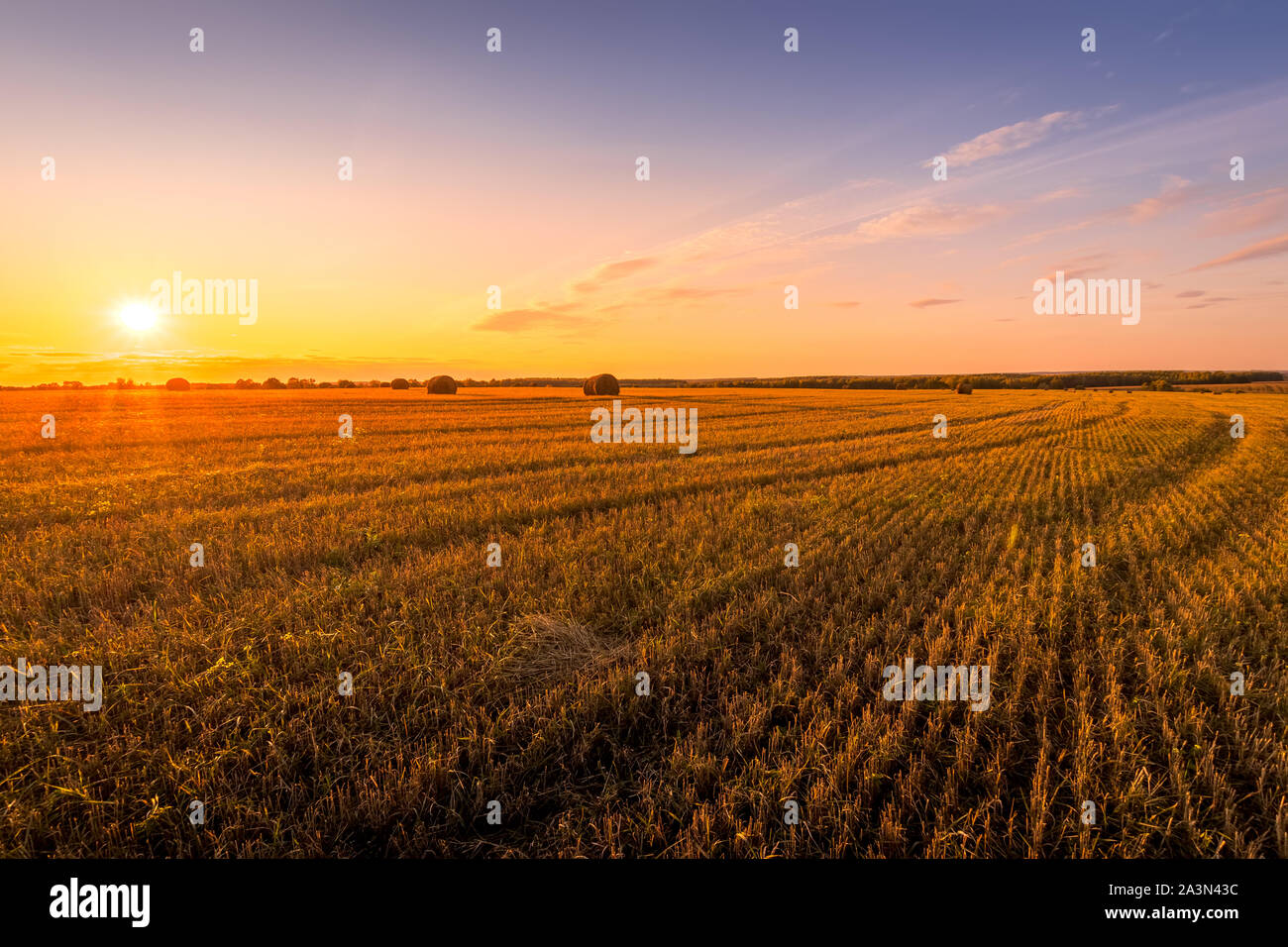 Scene of sunset on the field with haystacks in Autumn season. Rural ...