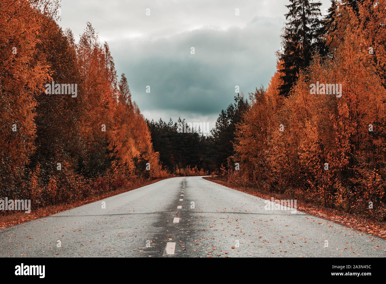 Highway through autumn forest hi-res stock photography and images - Alamy