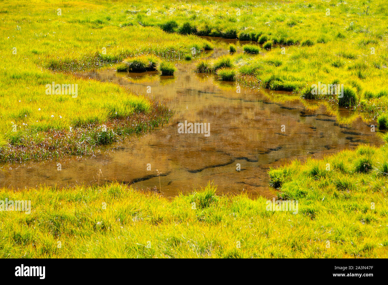Source of the moor hi-res stock photography and images - Alamy