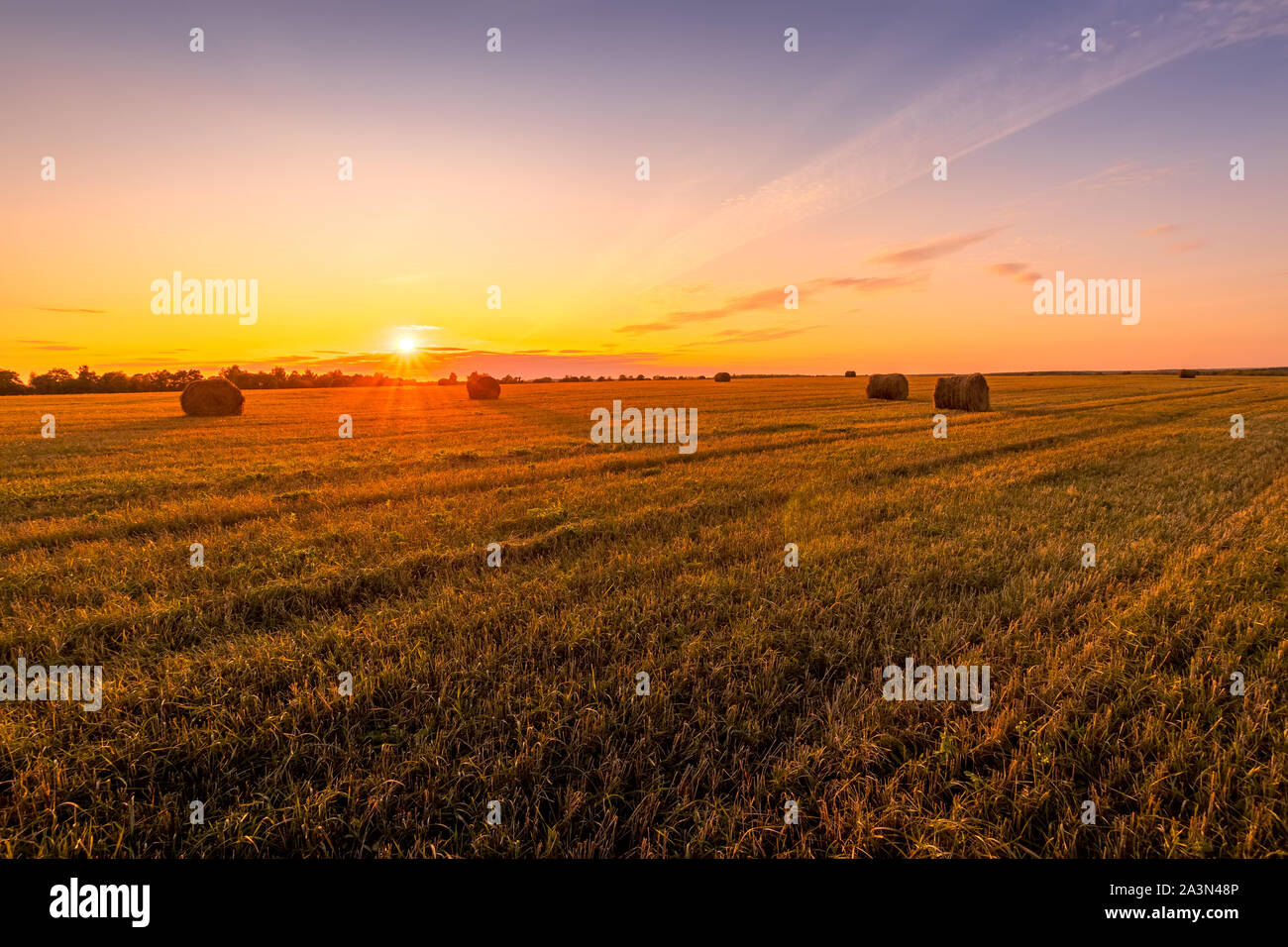 Scene of sunset on the field with haystacks in Autumn season. Rural ...