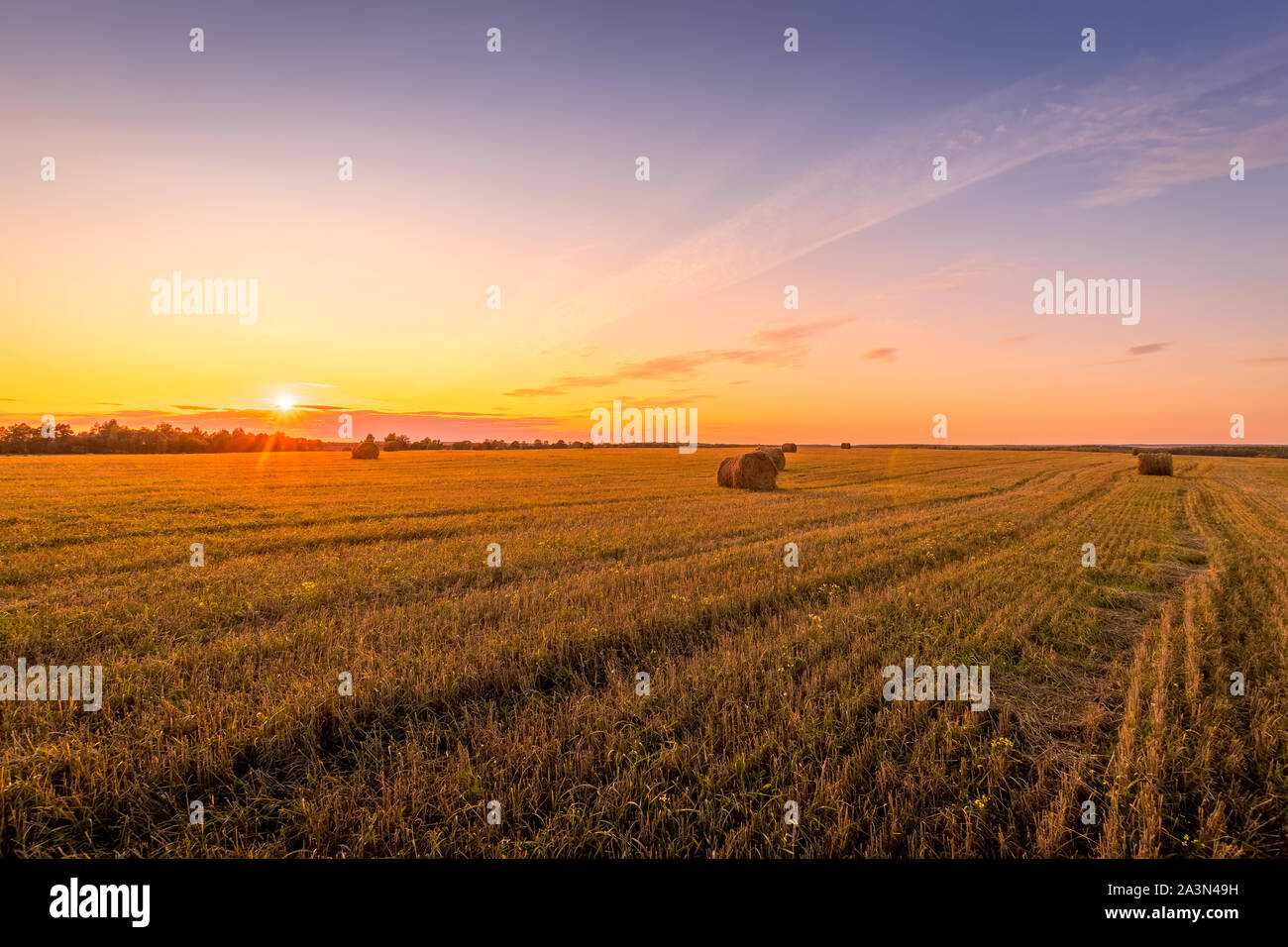 Scene of sunset on the field with haystacks in Autumn season. Rural ...