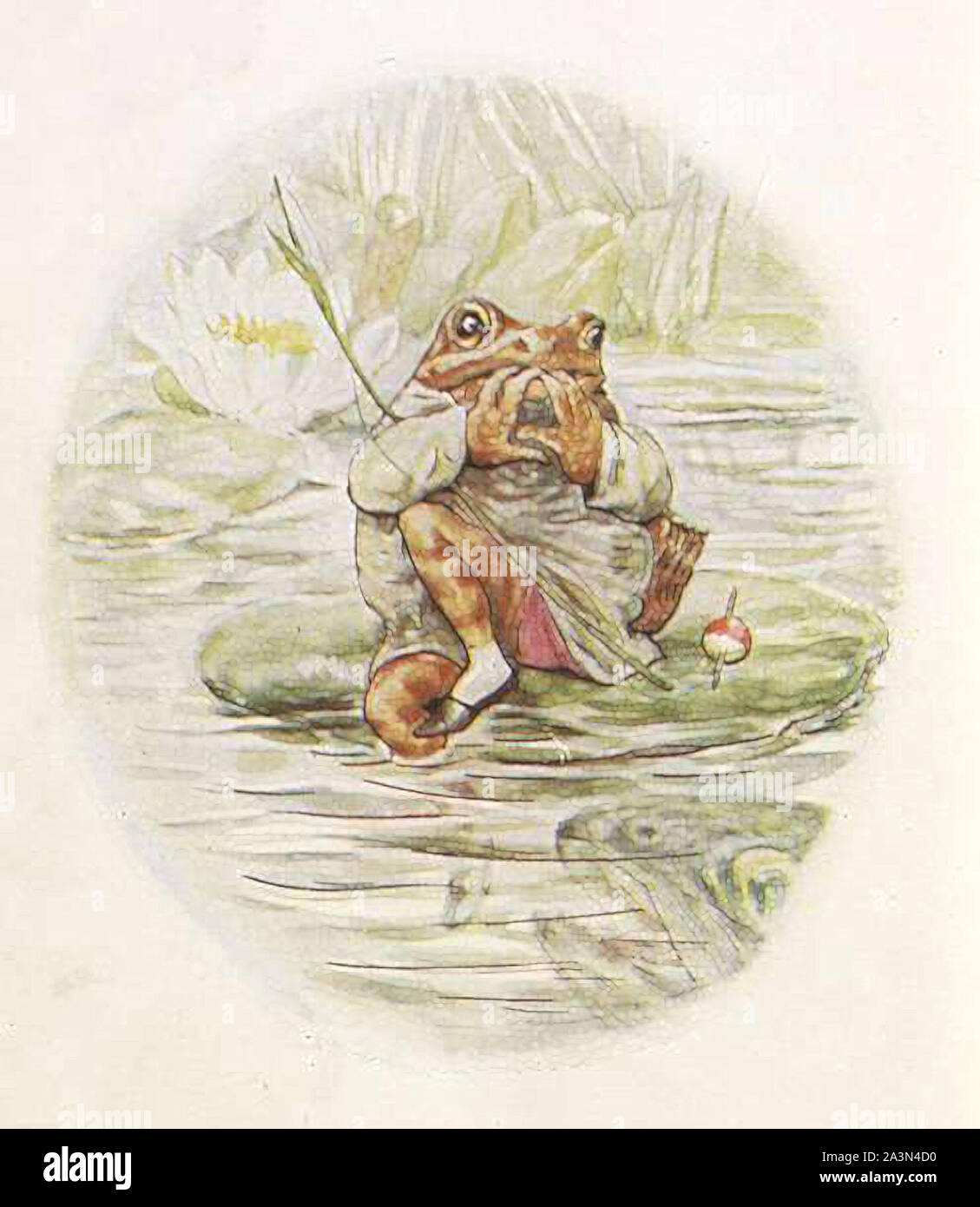 Beatrix Potter Illustration Frog High Resolution Stock Photography and ...