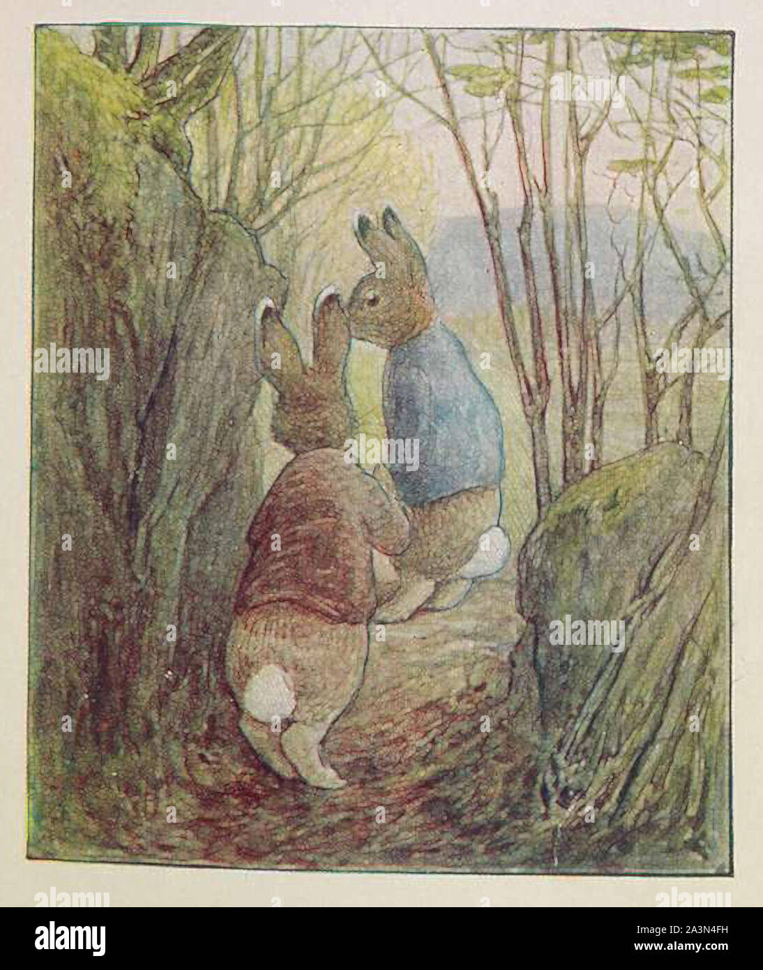 Beatrix Potter Illustration Frog High Resolution Stock Photography and ...