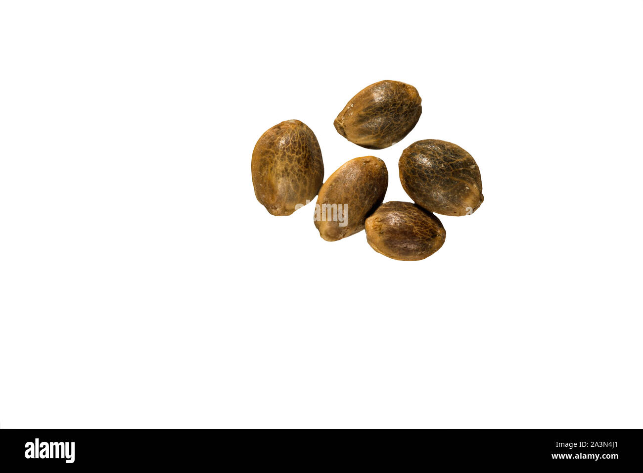 Hermp seeds isolated on white background Stock Photo - Alamy