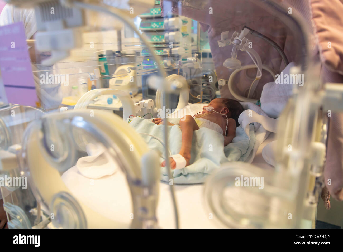 Premature birth ward in a hospital, neonatology department, premature ...